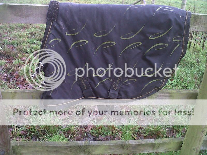 small rugs foal / shetland | Horse Gossip